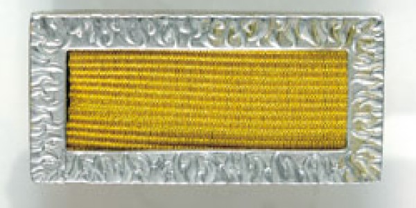 Meritorious Unit Citation | PM&C