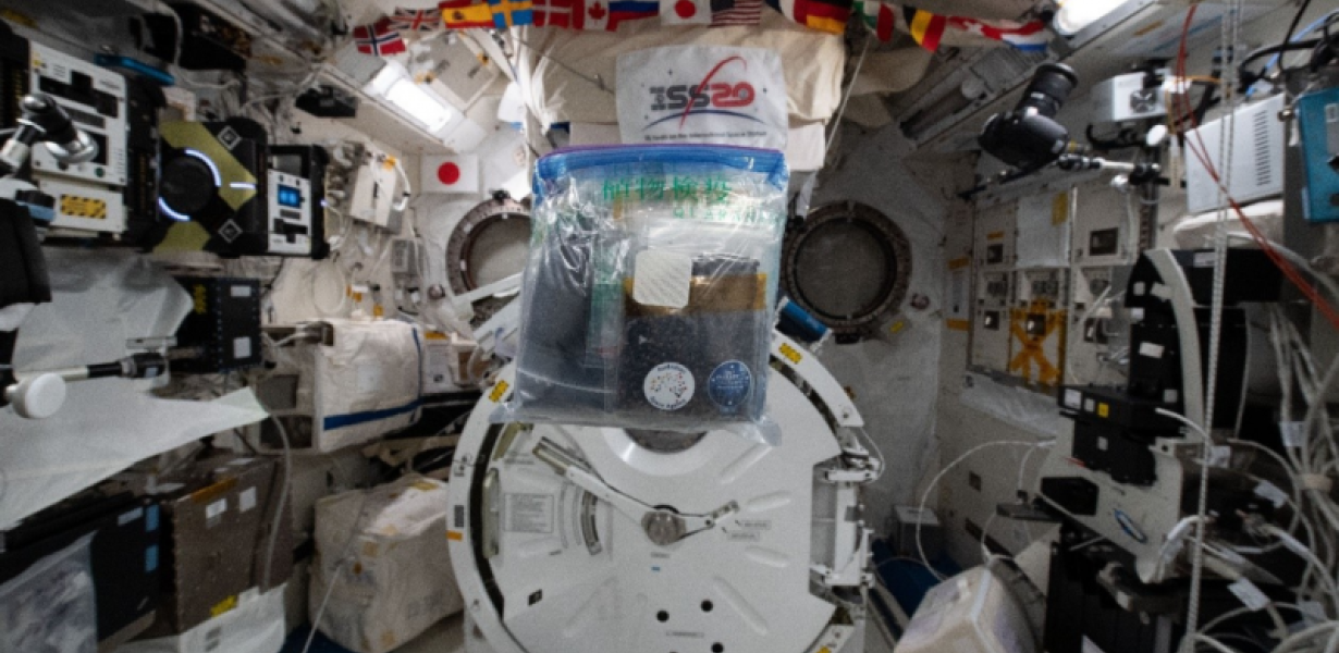 ‘What’ll Happen to the Wattle’ – Australia’s Floral Emblem’s journey to ...