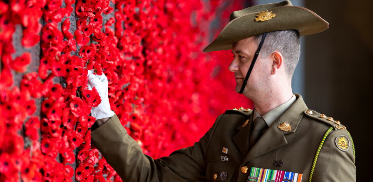 100 years of the Flanders poppy | PM&C